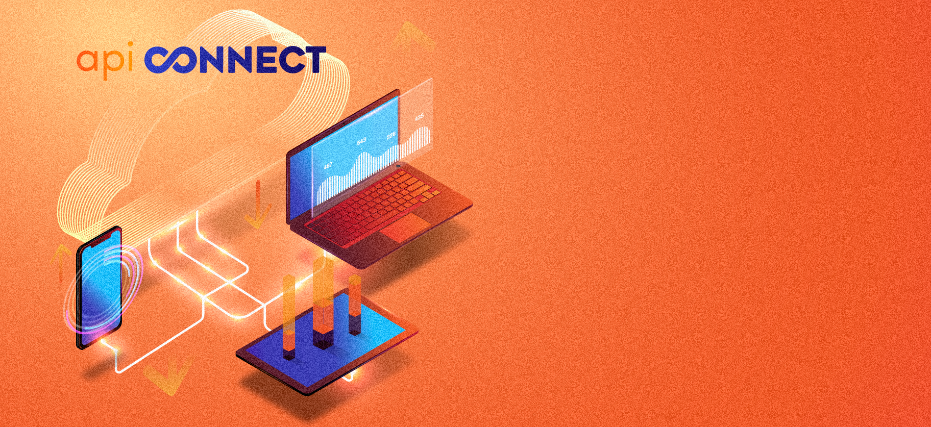 API Connect Praxis | Validación e Identidad Digital